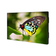 Sharp NEC Display 55" Ultra Narrow Bezel S-IPS 3x3 Video Wall Solution ...