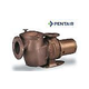 Pentair C-Series 15HP Standard Efficiency 3-Phase Commercial Bronze ...