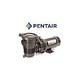 Pentair OptiFlo 1HP Vertical Above Ground Pool Pump with 3' Standard ...