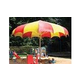 Anchor Industries FUNbrella Shark Permanent Umbrella Shade Structure ...