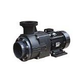 Waterco Hydrostar Plus 10HP Commercial High Performance Pump without ...