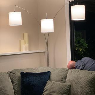 Lite Source Norlan 84" White Shade and Nickel 3-Light Arc Floor Lamp ...