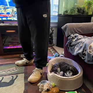 Reviews: Caitlin Clark Nike Fleece Cuffed Basketball Pants. Nike.com
