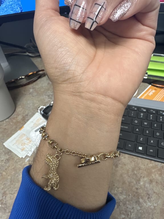 COACH Pave Rexy Signature Chain Bracelet