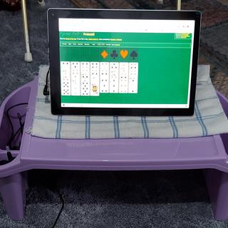 Serving & Homework Lap Tray | Oriental Trading