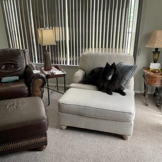 Trixie chair and a half store