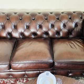 Hutchinson Leather Sofa Raymour Flanigan