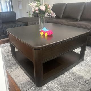 Dmitry coffee table with storage store