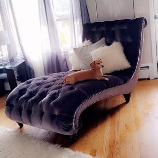 Duchess chaise lounge store