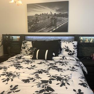 Rockwell Wall Bed Raymour Flanigan