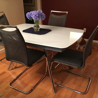 Paloma Glass Dining Table w Leaves Raymour Flanigan