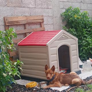 Resistente y es igual a la de la imagen