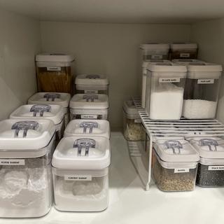 Kitchen Pro Denny 24pc Storage Canister Starter Set | Kitchen Warehouse™